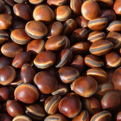 Je Bourik/Anikon – HaitianGoodies